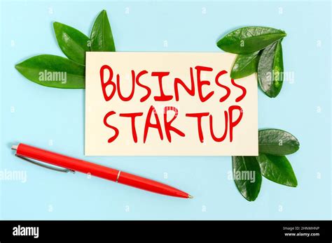 Text Caption Presenting Business Startup Word Written On Putting Up New Commerce Venture Fresh