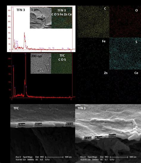 Eds Mapping A And Cross Section Images B Of Tfc And Tfn 3 Membranes
