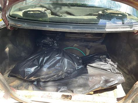Sigue Narcoguerra En Acapulco Con Restos Descuartizados En Cajuela De Taxi Infobae