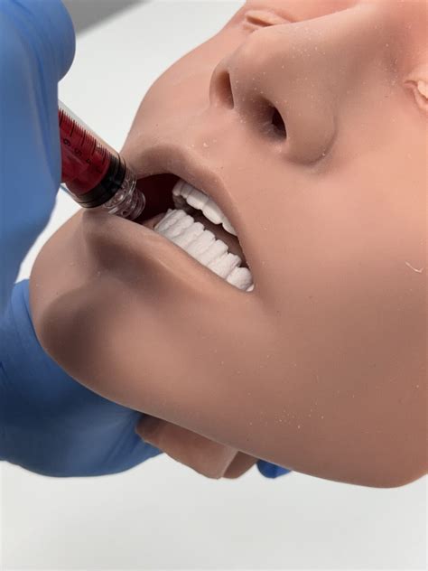 Simulaids® Buccal Injection Trainer Adult Simulaids
