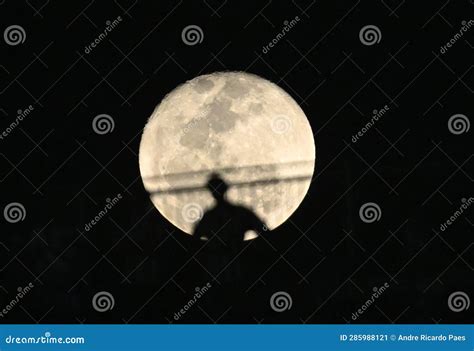 Soccer Brazil BOTAFOGO Editorial Photo Image Of Soccer 285988121