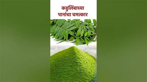 कडुलिंबाच्या पानांचा चमत्कार Shorts Gudipadwaspecial