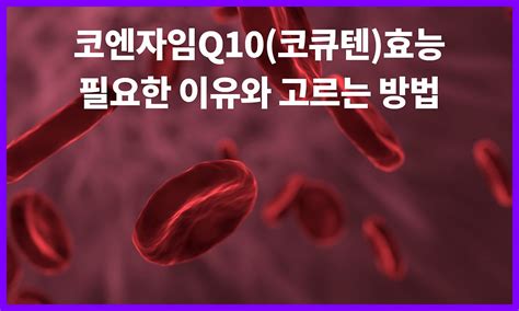 코엔자임q10코큐텐효능 필요한 이유와 고르는 방법 네이버 포스트