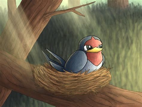 Taillow Wiki Pokemón Entrenadores Roleplay Amino