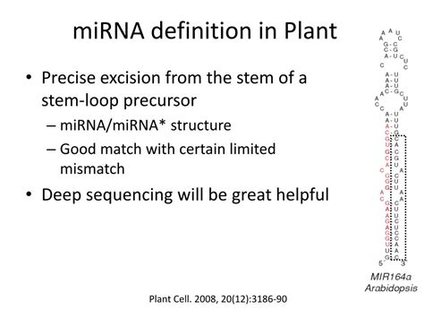 Ppt Count Data Analysis In The Small Rna Sequencing Powerpoint