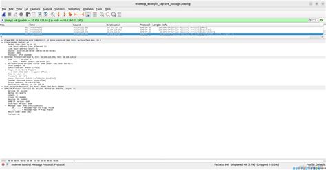VSOMEIP 抓包数据