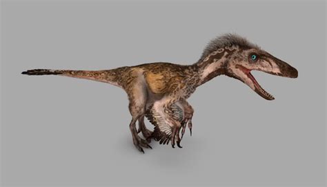 Utahraptor Dinosaur Revolution Wiki Fandom Powered By Wikia