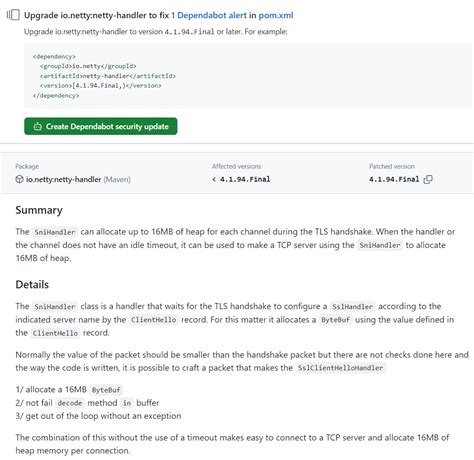 Improve Security Netty Handler SniHandler 16MB Allocation Issue