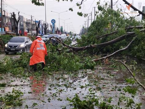 ขาวโพลน ฝนกระหน่ำ พายุลูกเห็บถล่มเชียงใหม่ Thai Pbs News ข่าวไทยพีบีเอส