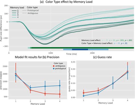 A Pupil Size Since The Onset Of The Memory Display As A Function Of Download Scientific