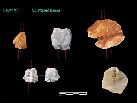 Exploring The Middleupper Palaeolithic Transition In Southern Europe
