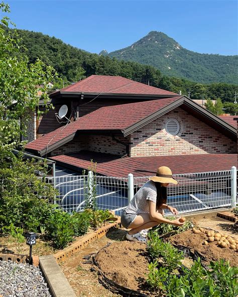 Hyo Rim Seo 아침7시에 일어나서 엄마랑 조이랑 감자를 캐고 부추를 베고 상추를 땄어요 😅 자급자족 농사스타