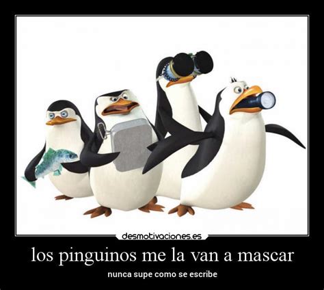 Los Pinguinos Me La Van A Mascar Desmotivaciones