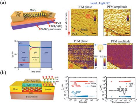 A Effect Of Visible Light Illumination Of Mos2‐pzt Fefet And Optical Download Scientific