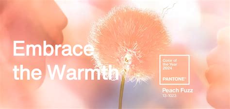 Pantone 2024年の流行色が決定 「ピーチファズ Peach Fuzz」 見るだけデザインの教科書｜デザインが学べるブログ