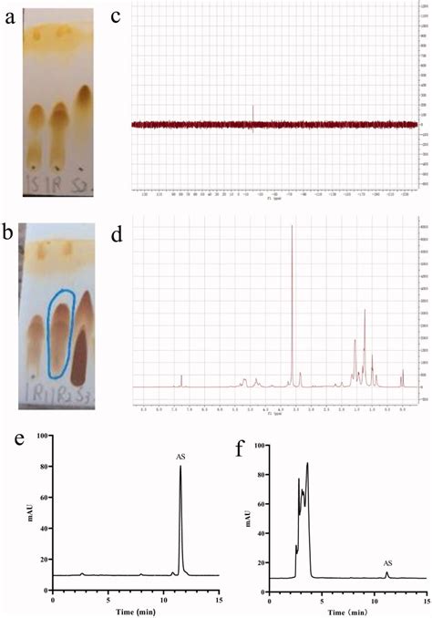 Alendronate Modified Mpeg Plga Nano Micelle Drug Delivery System Loaded With Astragaloside Has