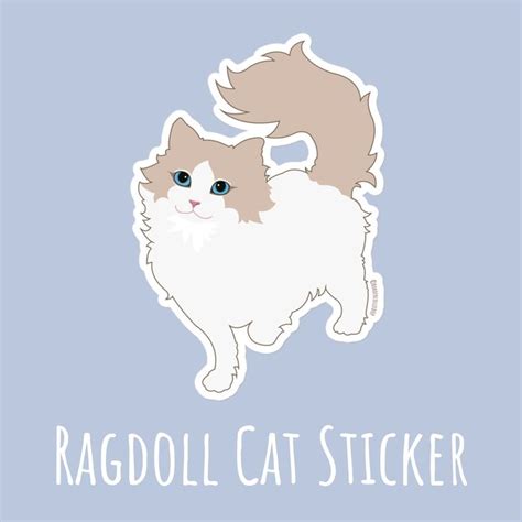 Ragdoll Cat Sticker For Ragdoll Cat Lover Ragdoll Cat Decal For Ragdoll