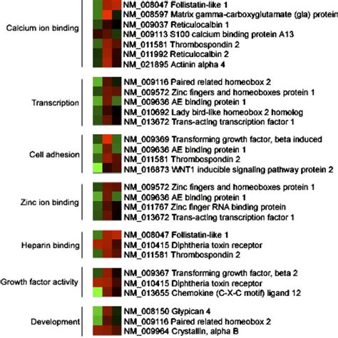 The Distribution Of Genes That Are Dysregulated In The Absence Of