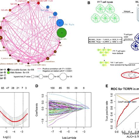 Survival Landscape Of The 19 T Cell Types And T Cell Related Prognostic