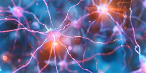 Exploring The Brain39s Neurons Through Advanced Scientific Imaging Concept Neuron Connectivity