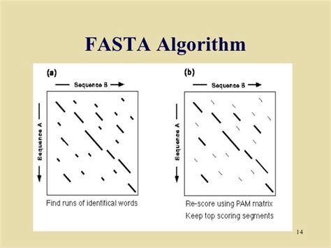 Blast Fasta 4