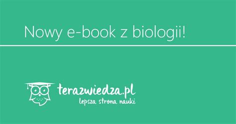E-book "Metabolizm"