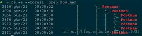 在 Linux 中杀死一个进程linux杀死父进程为1的进程 Csdn博客