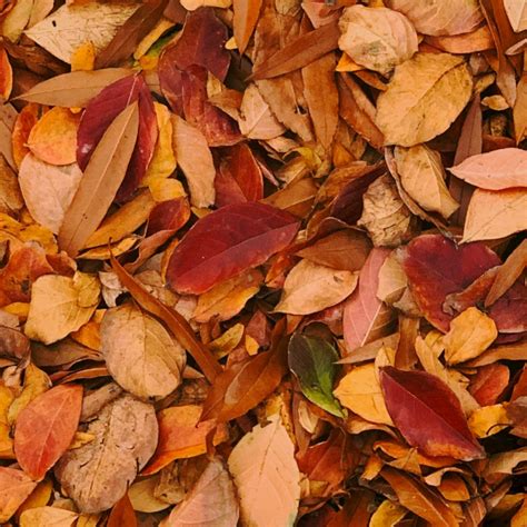 Fast Composting Methods Revitalize Soil And Cut Waste Quick