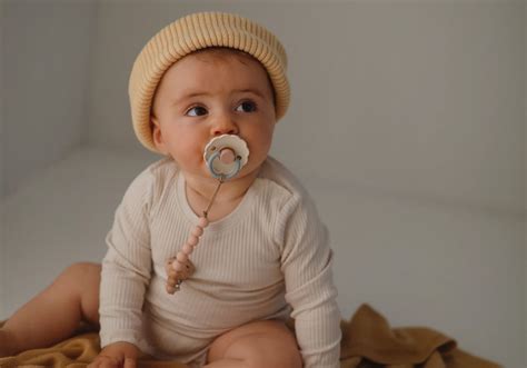 About Friggおしゃぶり Mushie ムシエ