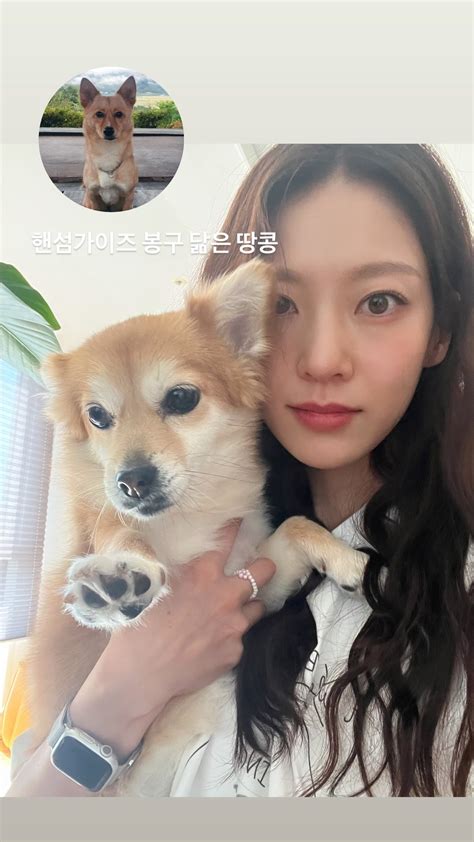 공승연 인스타 스토리 여자 연예인 에펨코리아