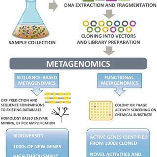 2 Overview Of Sequencebased And Functional Metagenomics Popovic Et Download Scientific Diagram