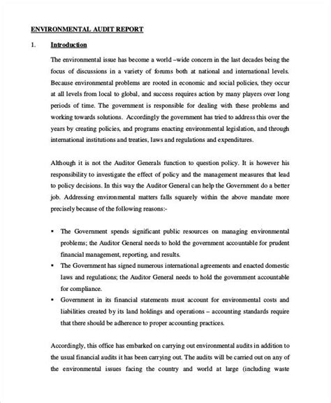 30 Audit Report Examples To Download