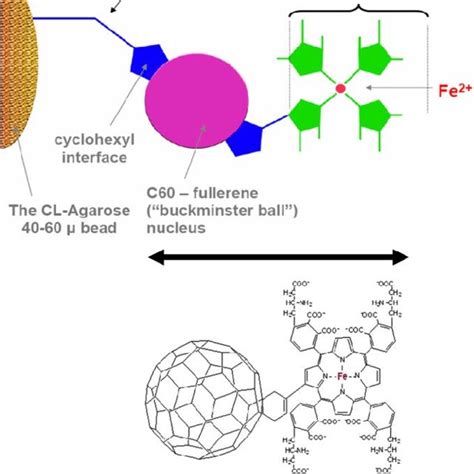 Pdf Fullereneinterfaced Porphyrin Ligand In Affinity Chromatography