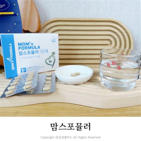 임신준비 영양제 엽산 임신 초기 임산부 종합 영양제 시기는 네이버 블로그