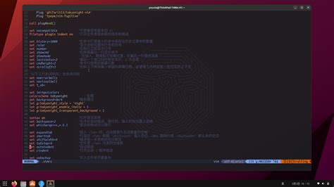 你的vim配置是什么样的？ 知乎