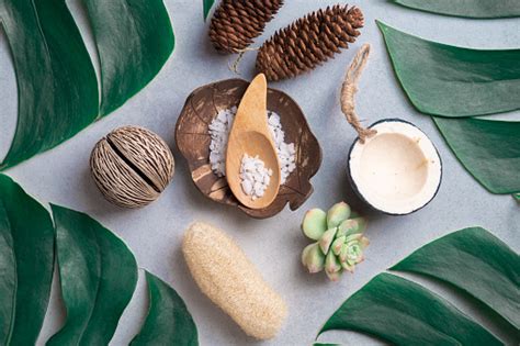 아로마 테라피 제품 스파 세트 평평 하다 구성입니다 열 대 잎 개념 스타일 분홍색 배경으로 마사지 최고의 볼 수 있습니다 Monstera 서식 파일 열 대 여름 패션 배경