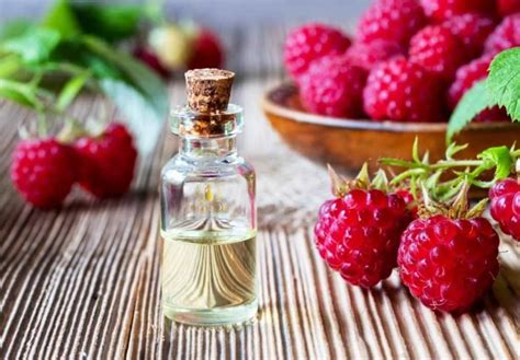 Сыродавленное масло малины: как сделать на прессе CraftOil