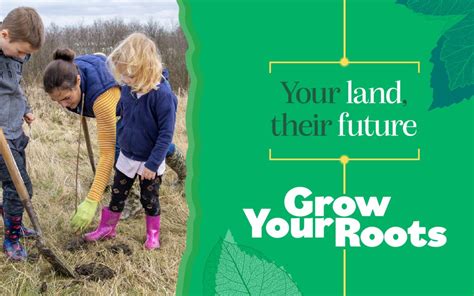 Tree Planting Scheme Grants Available Willoughby On The Wolds