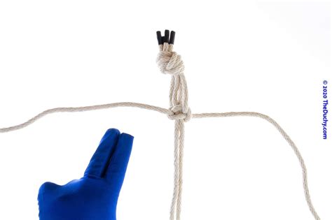 8 Again Choose The Cord That Is On Top Of Its Containing Loop And