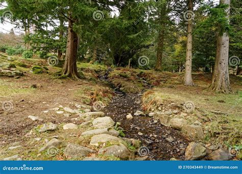 Dried Stream Bed At Aira Force Waterfalls Stock Image Image Of Aira