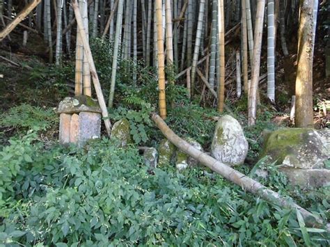 八太城跡をぶらり 三重と珈琲とヲタク