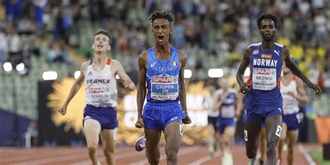 La Storia Di Crippa Indiscreto