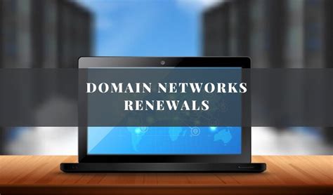 Domain Networks Renewals In Sustaining Digital Infrastructure