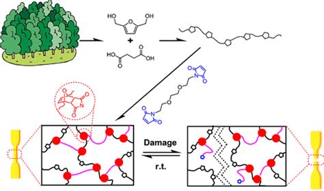Bio Based Furan Polymers With Self Healing Ability Macromolecules