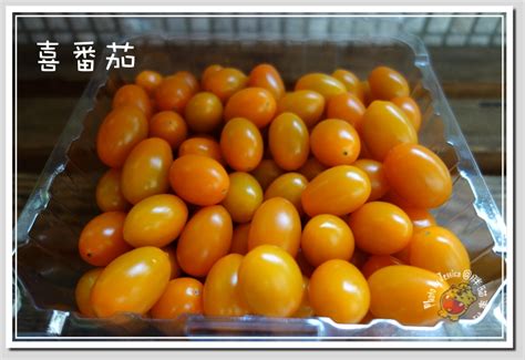 胖貓事件簿 Costco好市多│履歷喜番茄橙蜜香小番茄
