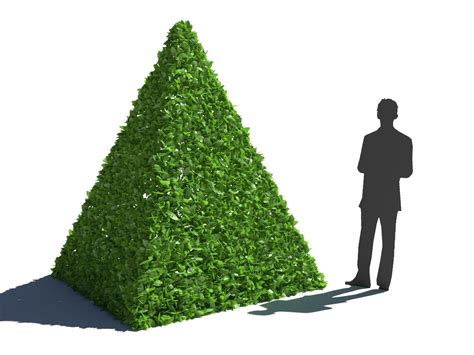 Bush Hedge Model TurboSquid 1187847