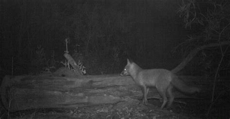 Gitanjali Katrak Posted On Linkedin