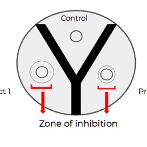 An Agar Plate With A Zone Of Inhibition Visual That Demonstrates What