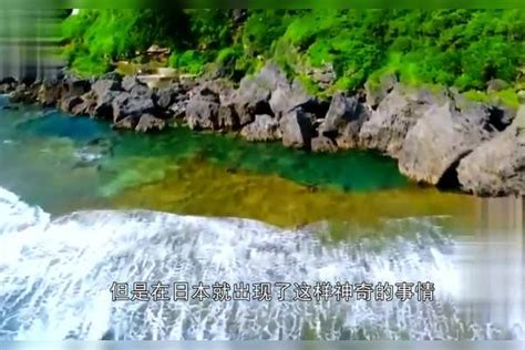 电影发生在现实？日本海岸现30米长“庞然大物”，专家看了都心日本海现实庞然大物