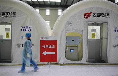 华大基因回应核酸不准举报：恶意诽谤！曾在香港、瑞典被曝假阳性事件腾讯新闻